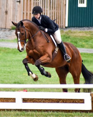 Complete Guide to Intercollegiate Riding Programs - Young Rider Magazine