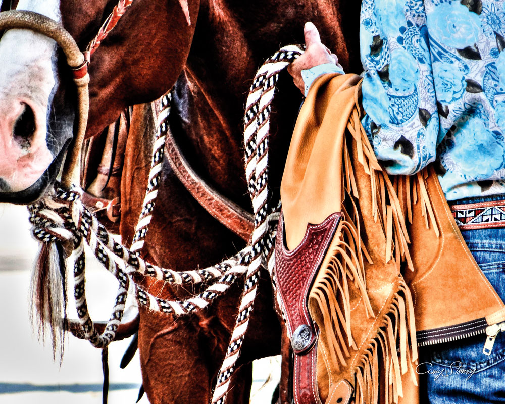 A Young Horse Photographer - Young Rider Magazine