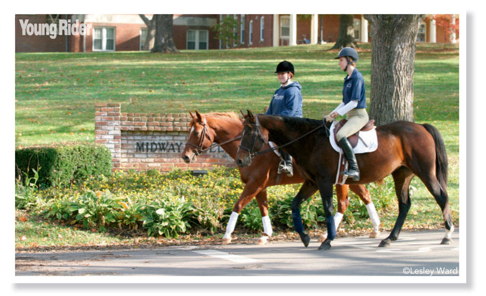 Should You Get an Equine Science Degree? - Young Rider Magazine