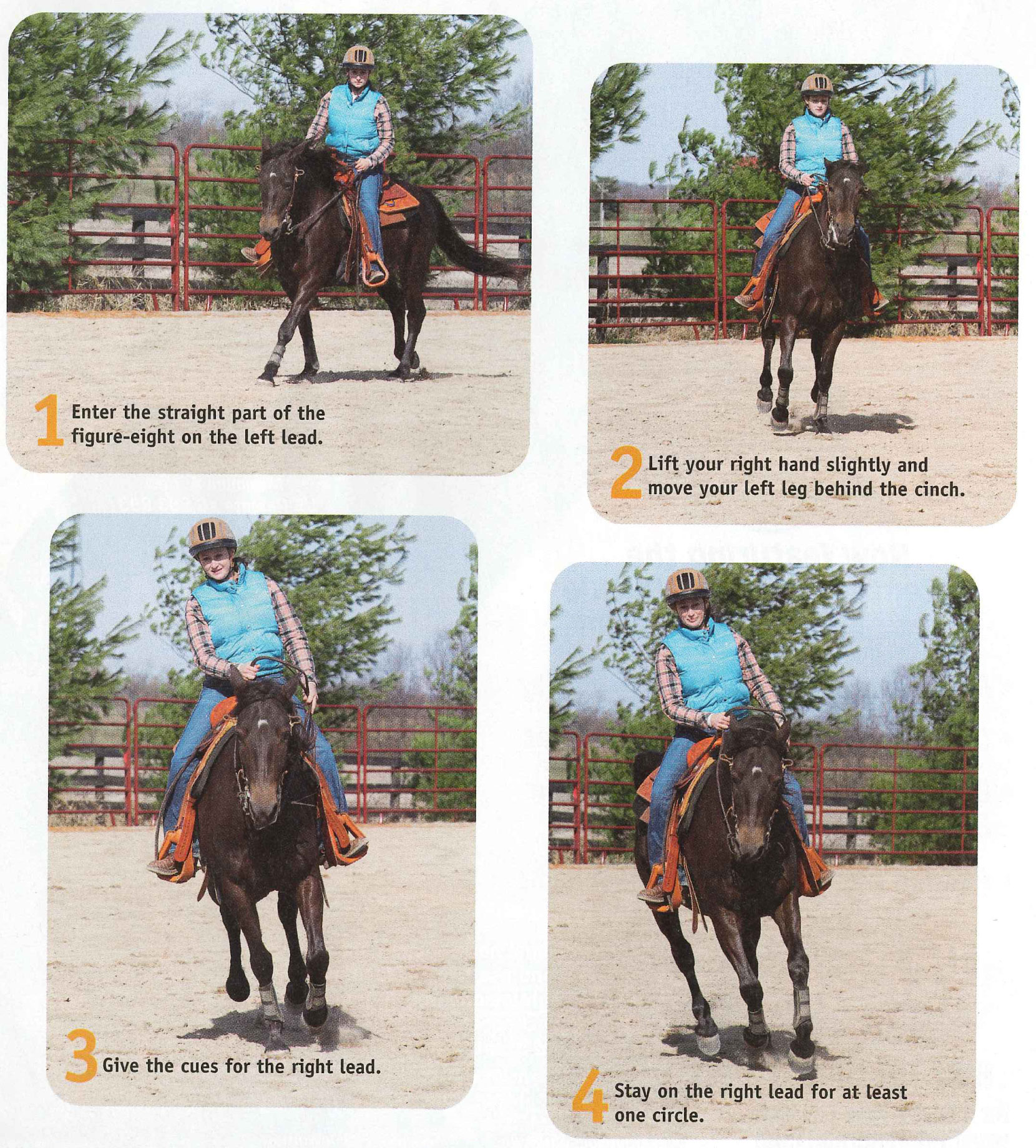 Teaching Flying Changes - Young Rider Magazine