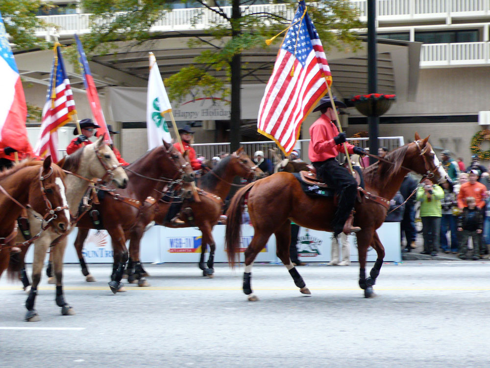 A Parade of Horses - Young Rider Magazine