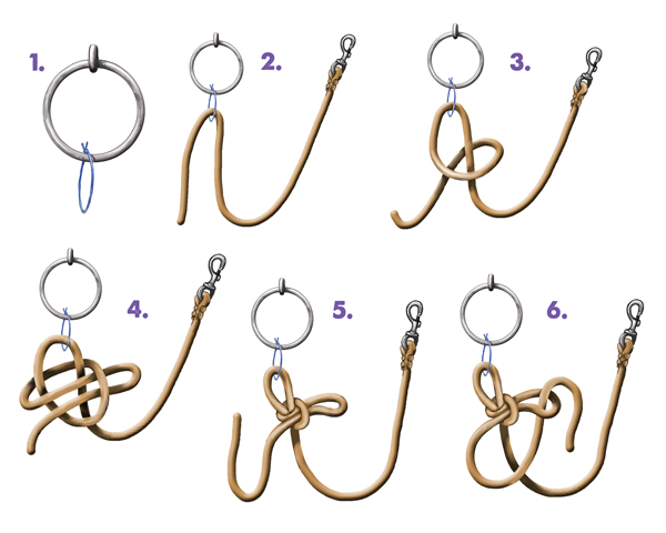 Tie a Quick-Release Knot - Young Rider Magazine