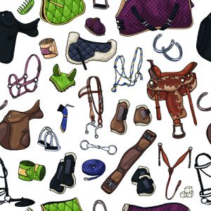 First Horse Checklist - Young Rider Magazine