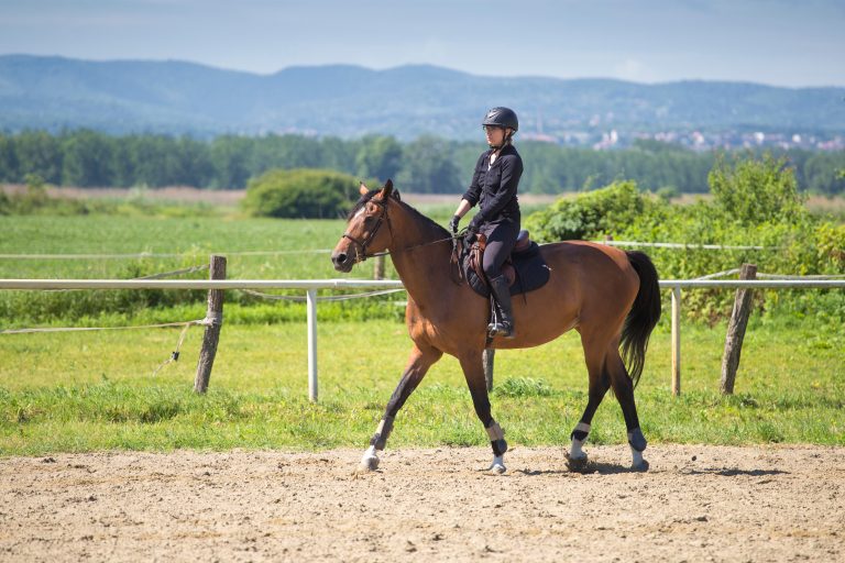 Trotting Tips - Young Rider Magazine