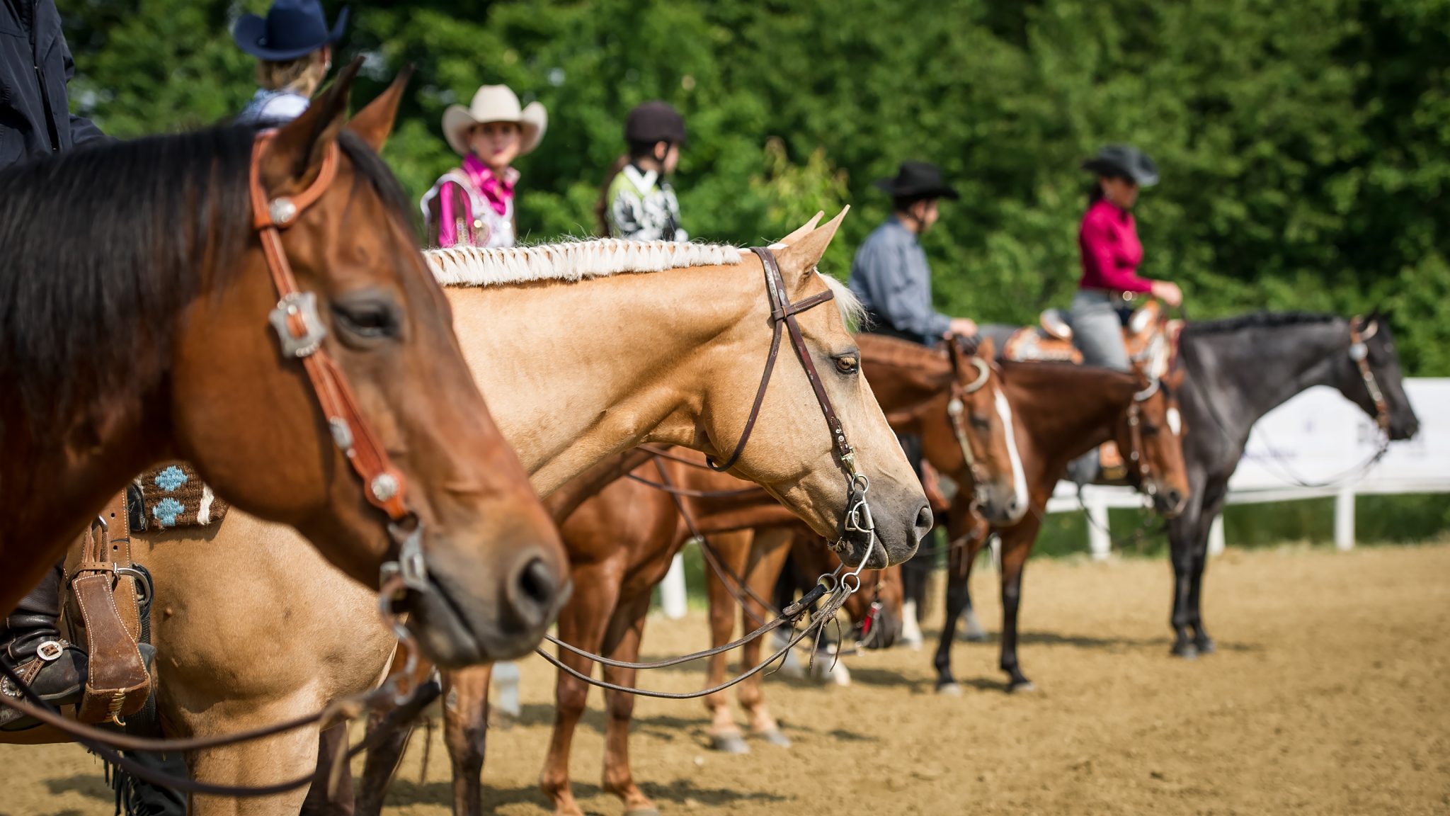 Horse Clubs For Kids - Young Rider Magazine