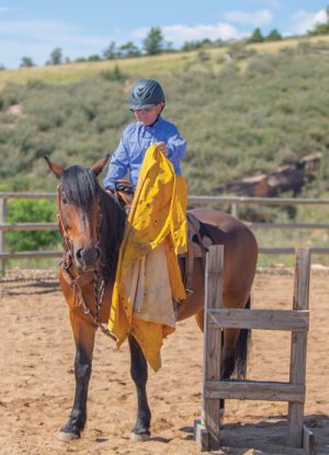 Rain Ready: Introduce Your Horse to a Rain Slicker - Young Rider Magazine