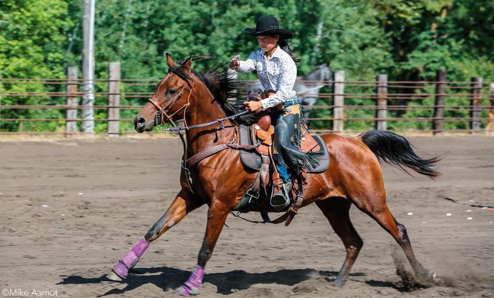 Western Lesson: Shooting Stars - Young Rider Magazine