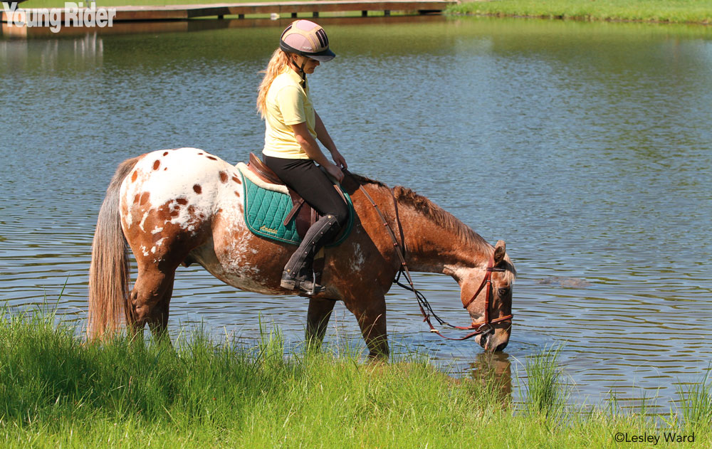 Help! My Horse Lies Down in Water - Young Rider Magazine