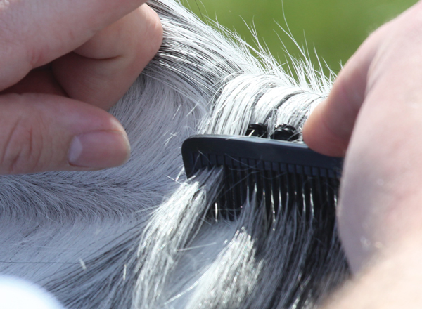 English Rubber Band Braids & Western Mane Banding - Horse Illustrated