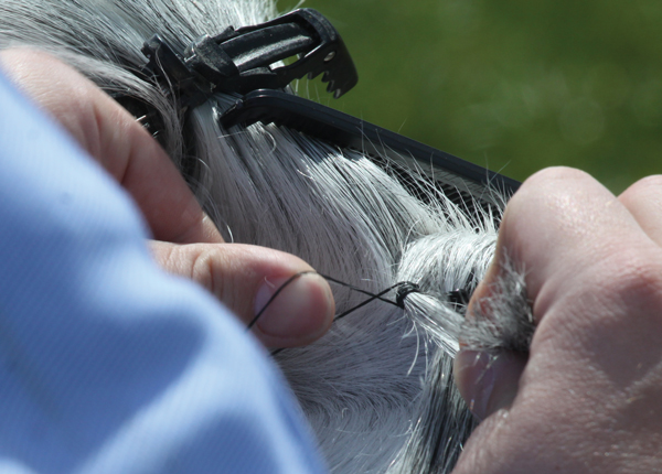 English Rubber Band Braids & Western Mane Banding - Horse Illustrated